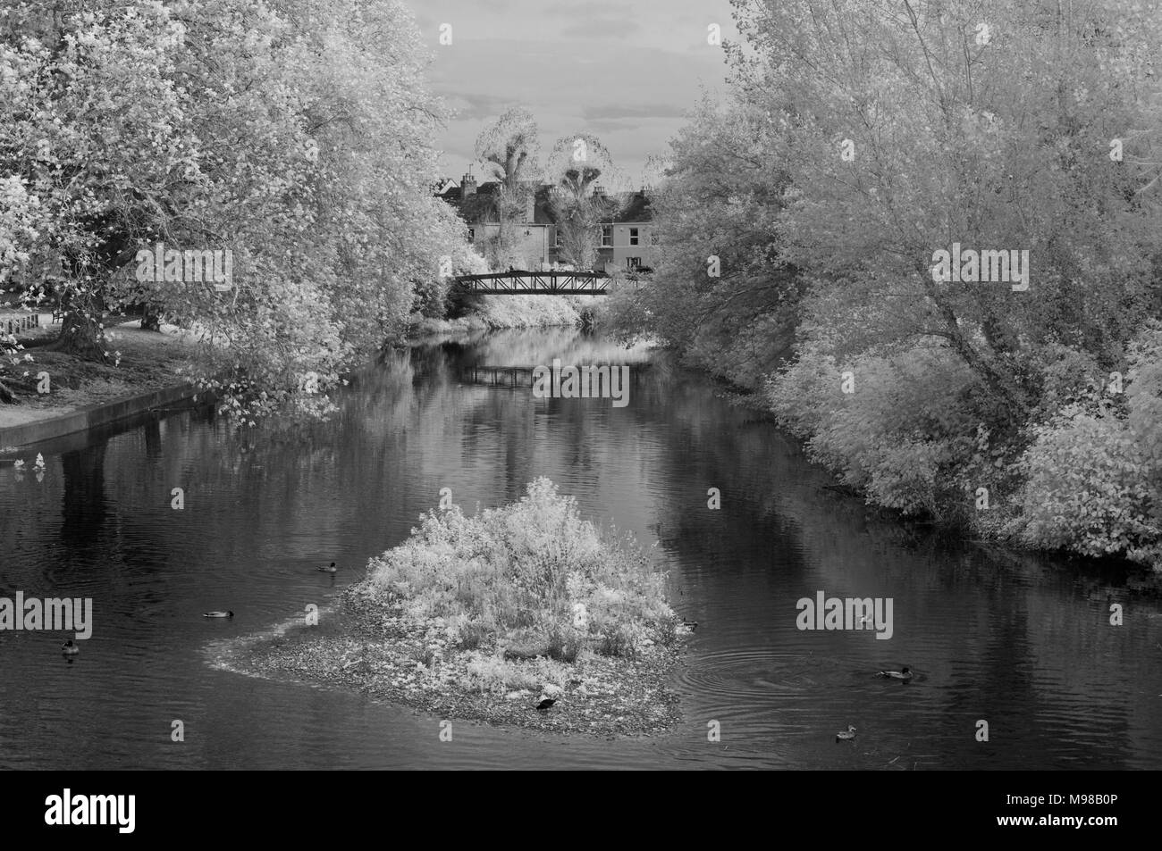 River tone at taunton Black and White Stock Photos & Images - Alamy