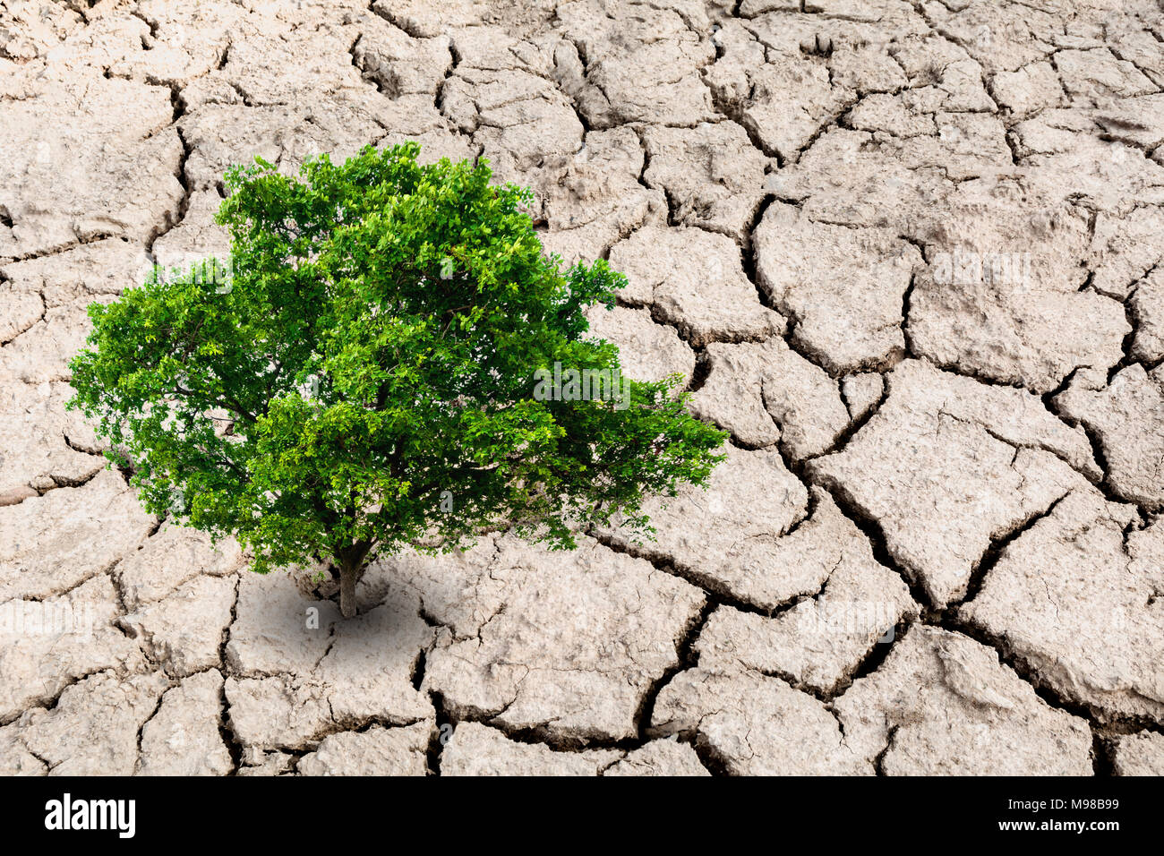 Ecology disaster hi-res stock photography and images - Alamy