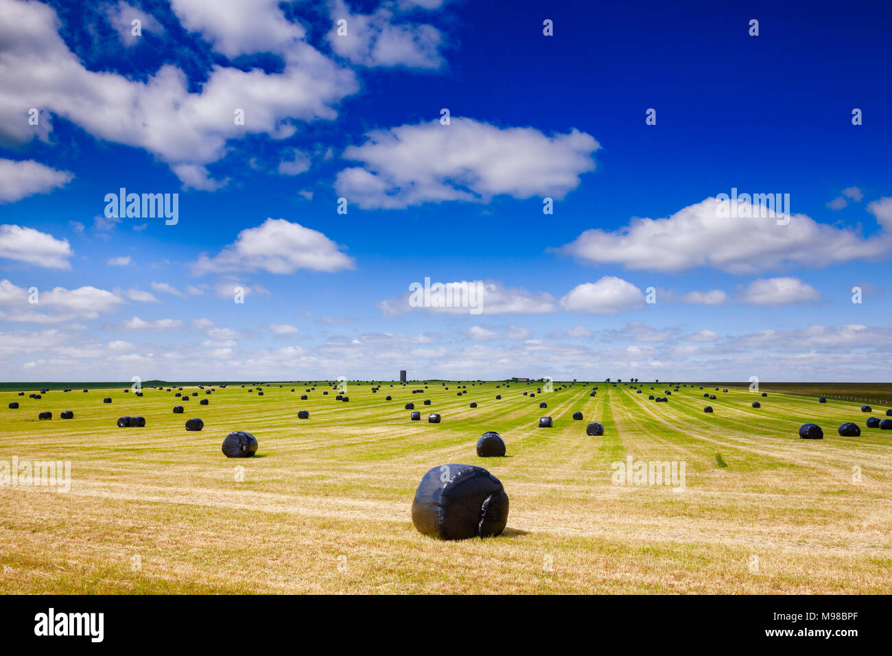 English rural landscape with plastic wrapped hay bales on a field in ...