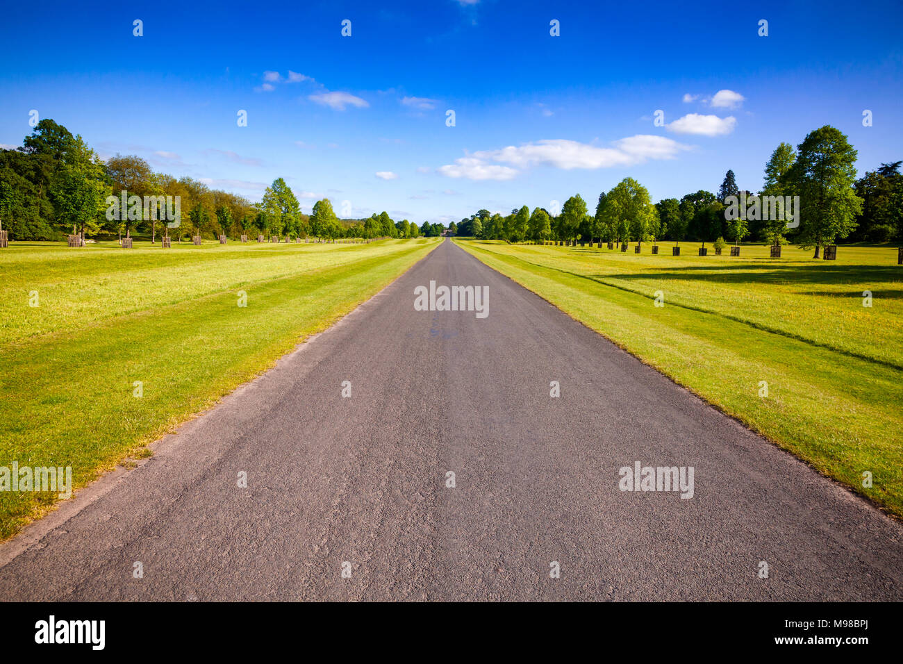 Summer landscape with straight one lane country road in Southern ...