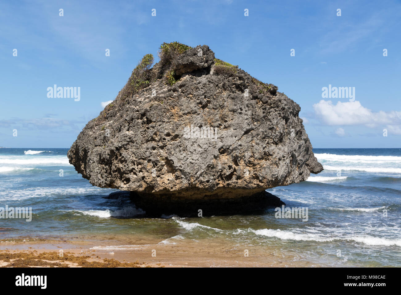 Bathsheba Rock on Barbados's rugged east coast Stock Photo - Alamy