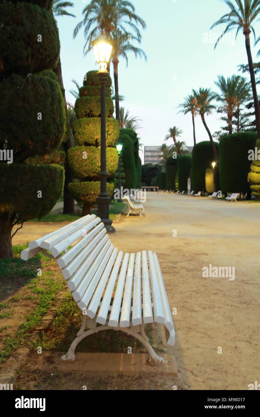 Parque genoves cadiz hi-res stock photography and images - Alamy
