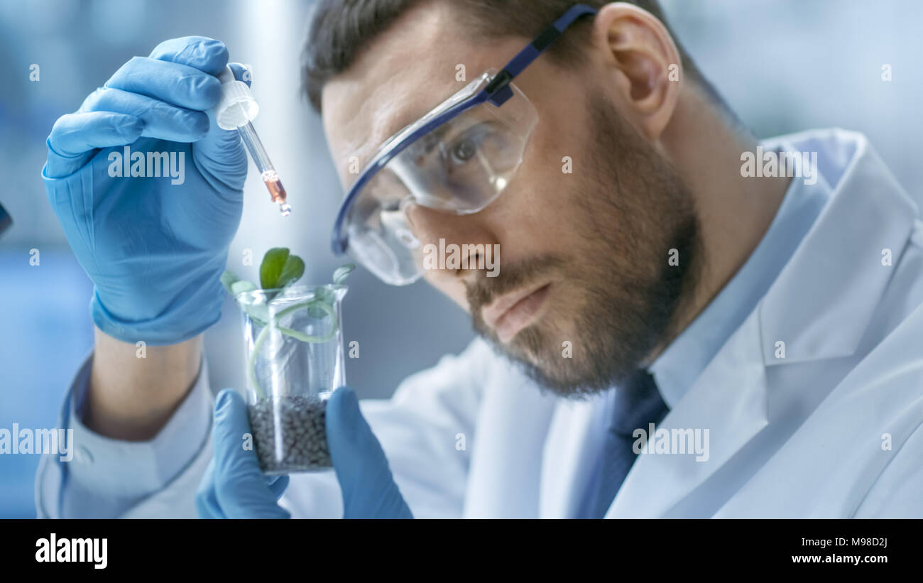 In a Modern Laboratory Food Scientist Conducts Experiments by ...