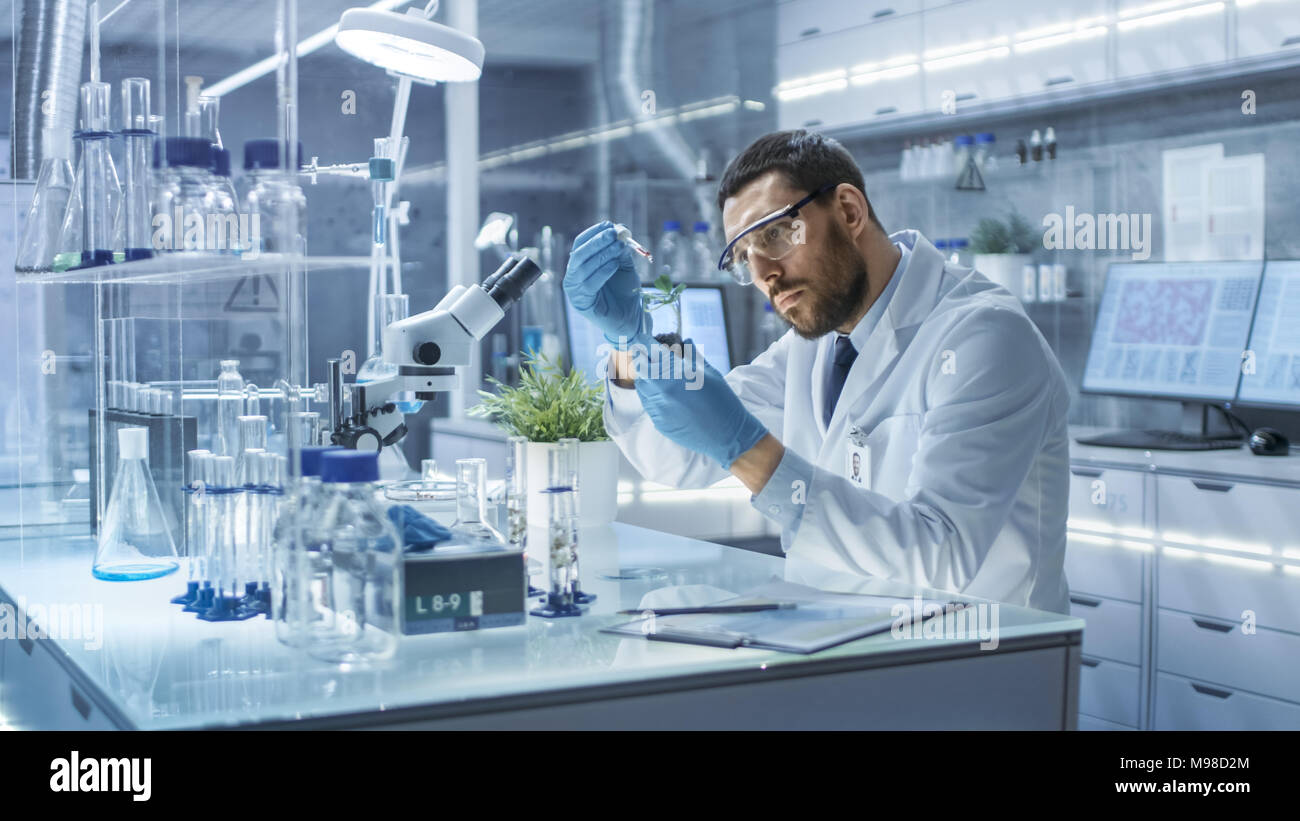 In a Modern Laboratory Research Scientist Conducts Experiments by ...