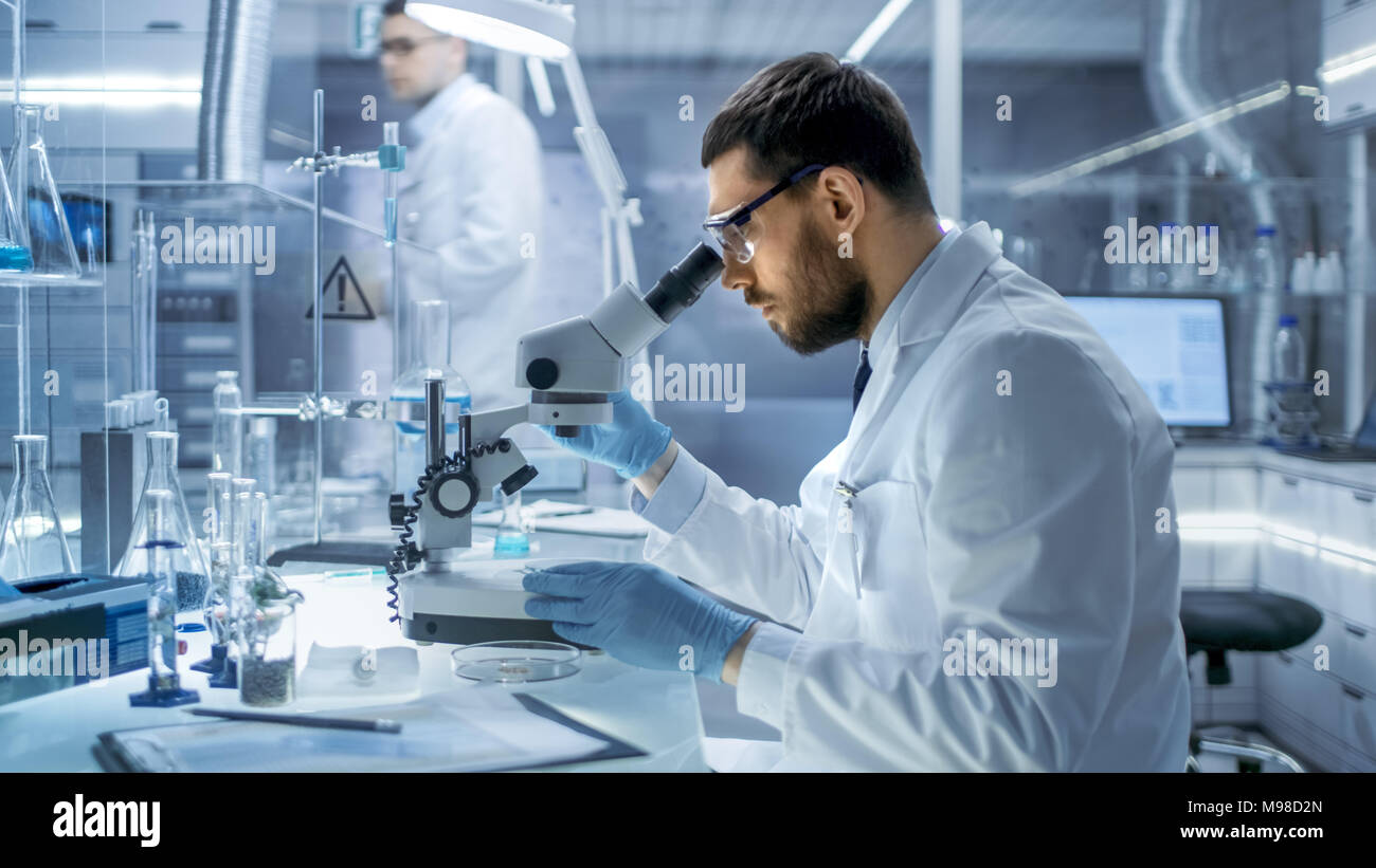 In a Modern Laboaratory Research Scientist Examines Substance Under ...