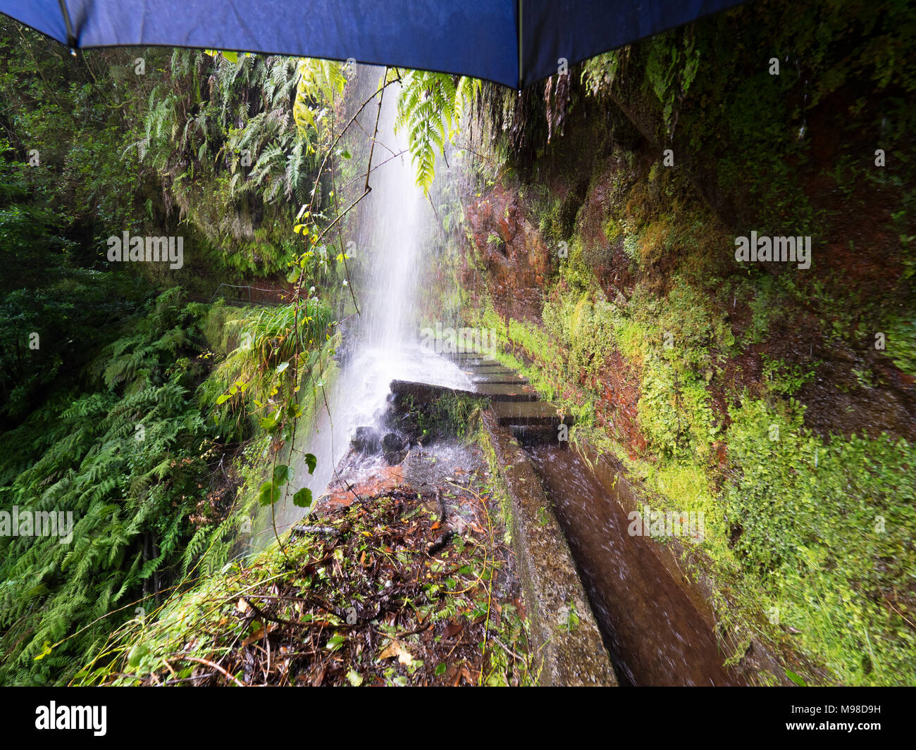 Approaching a waterfall during a levada walk at Madeira Stock Photo - Alamy