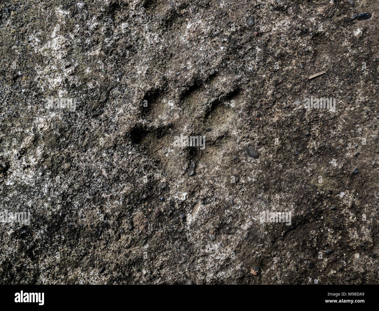 Cement imprint hi-res stock photography and images - Alamy