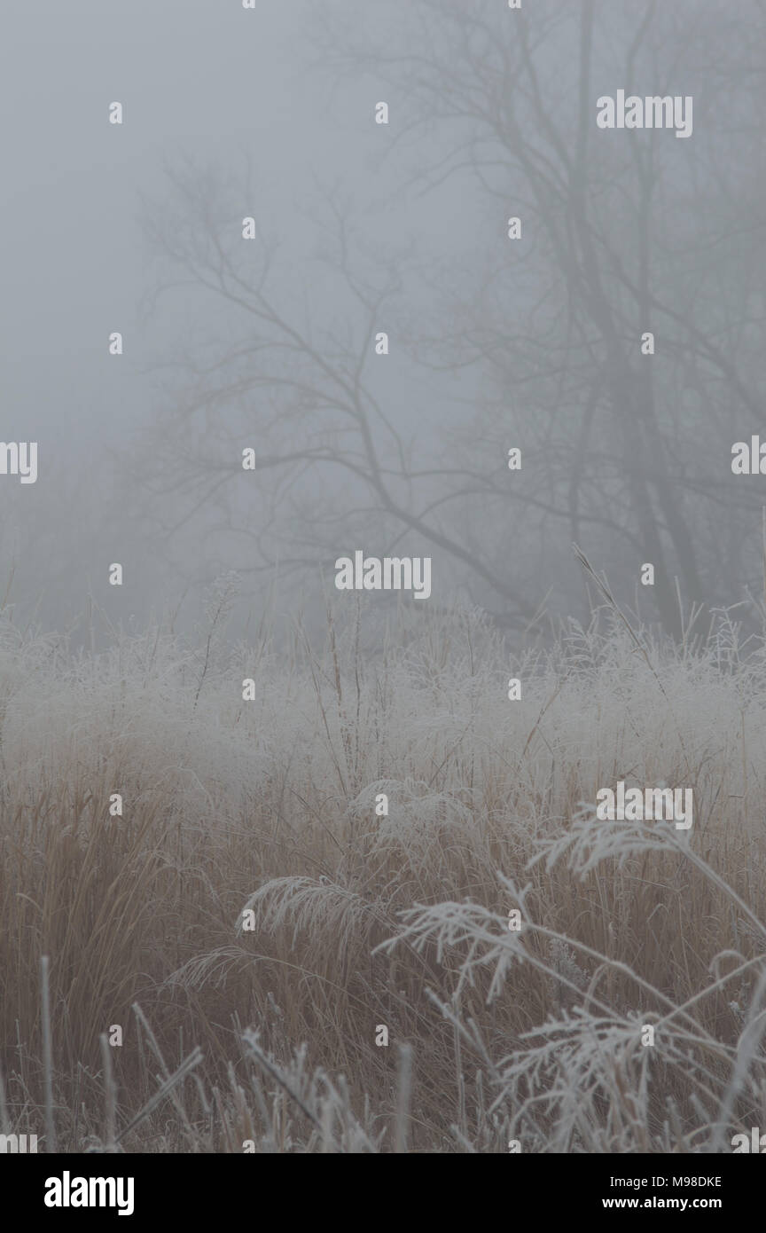 Frost gradient hi-res stock photography and images - Alamy