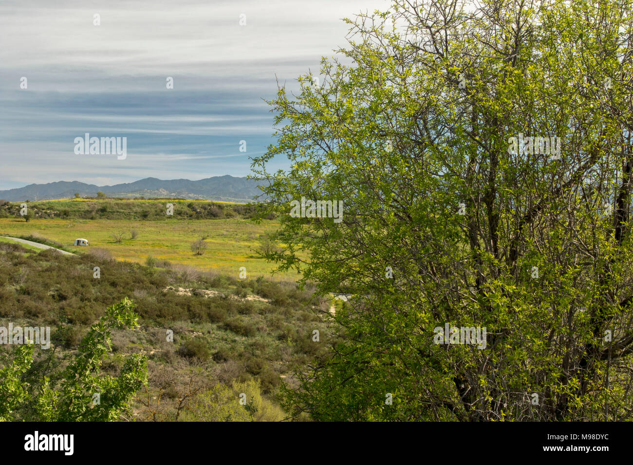 Spring landscape in the Paphos countryside in the sunshine, Paphos ...