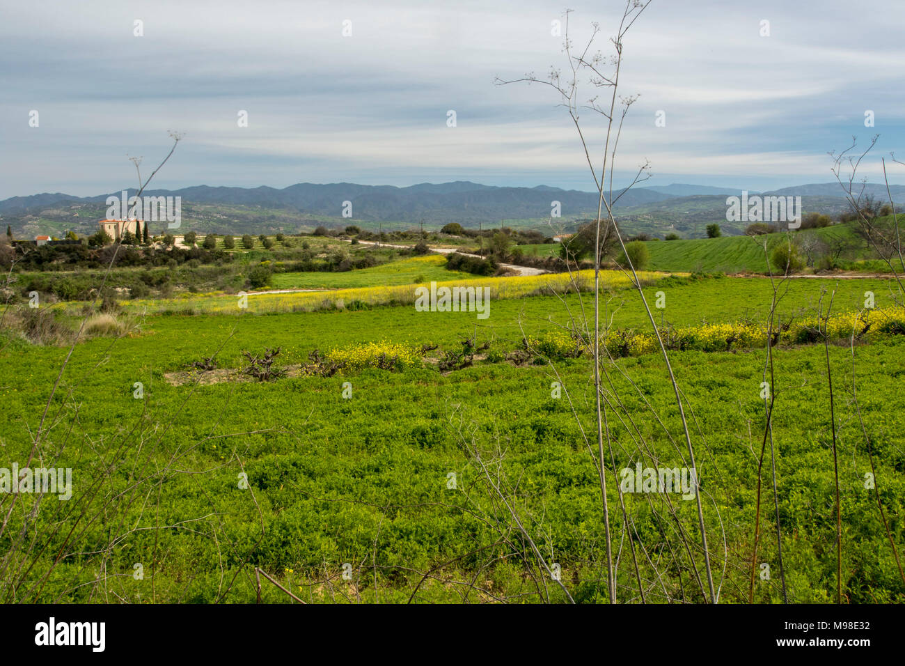 Rural countryside landscape in the spring, Paphos district of Cyprus ...