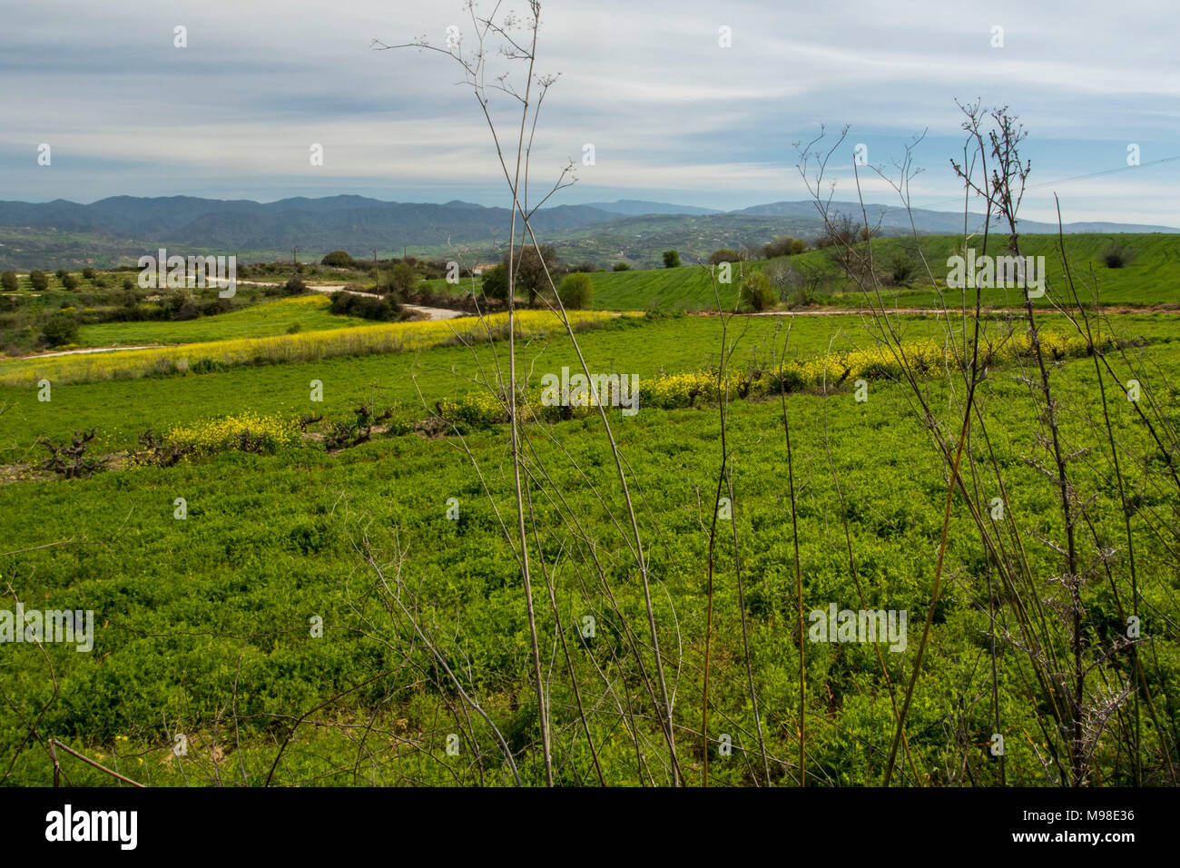 Cyprus Countryside High Resolution Stock Photography and Images - Alamy