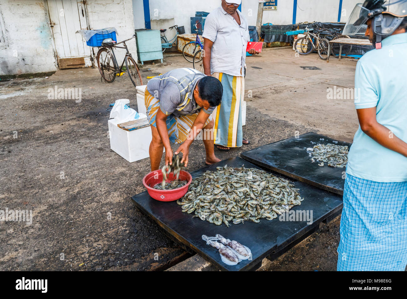 Local man selling freshly caught prawns and cuttlefish at the ...