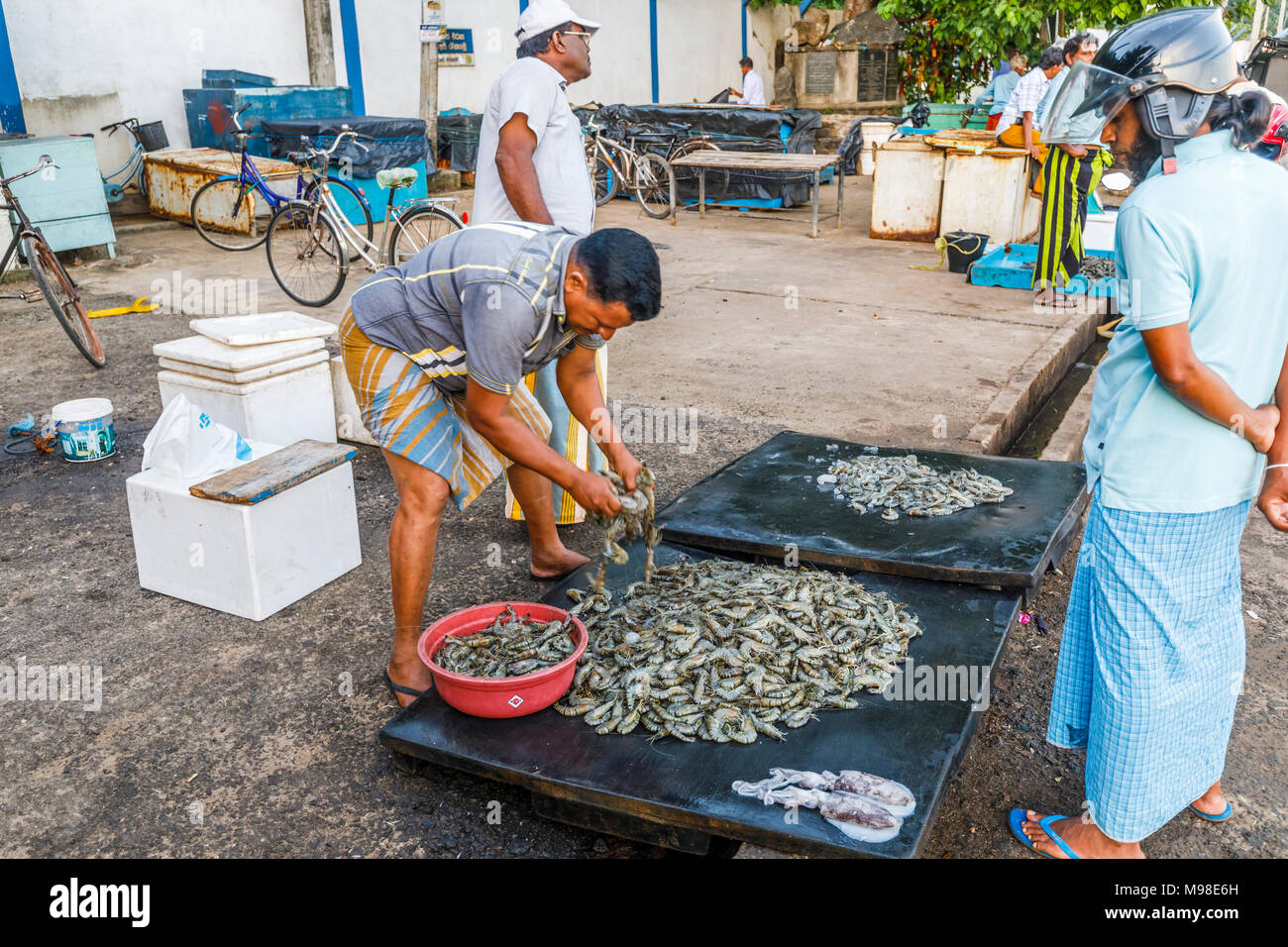 Local man selling freshly caught prawns and cuttlefish at the ...