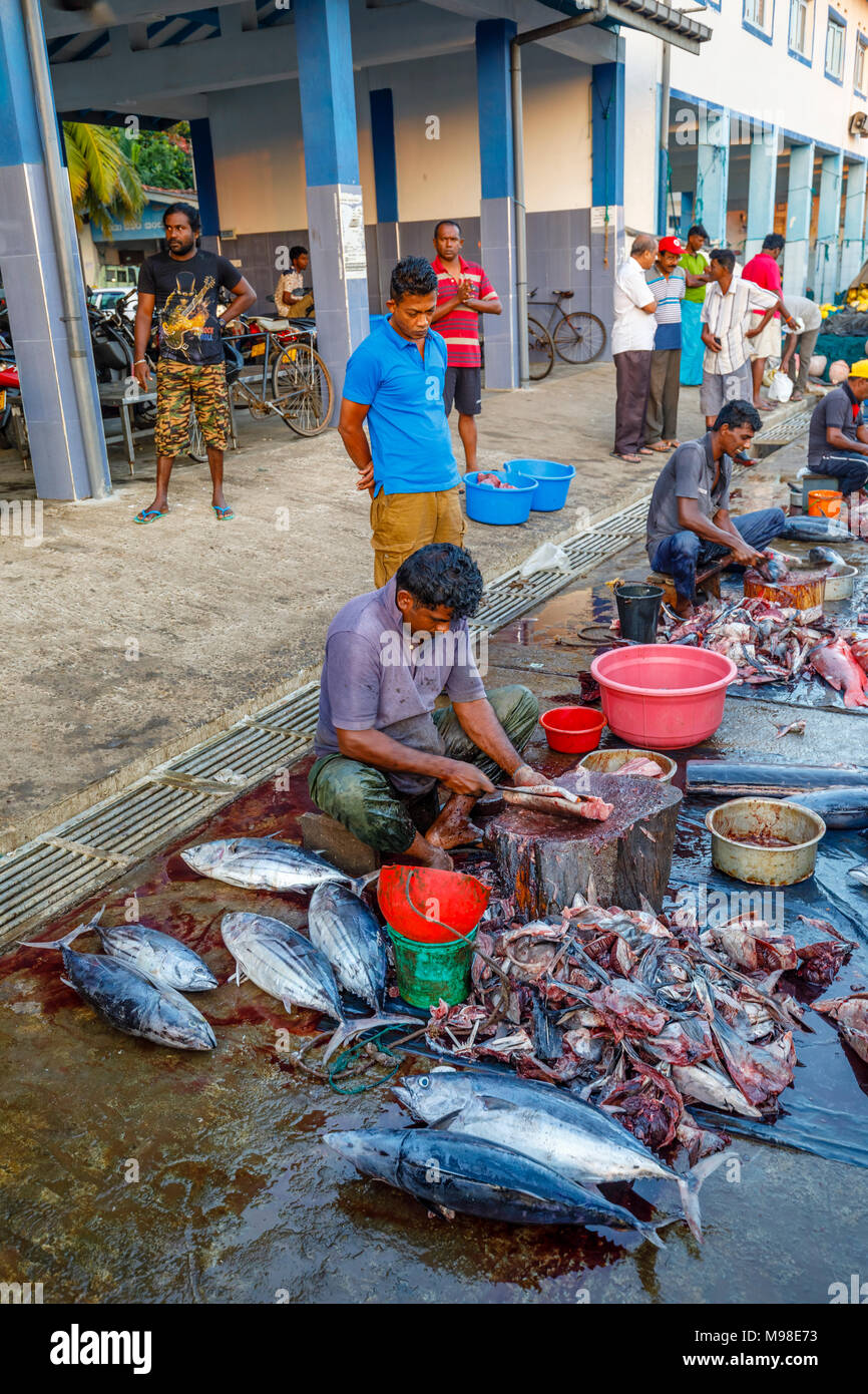 Large freshly caught fish being prepared by local fishermen at the fish ...