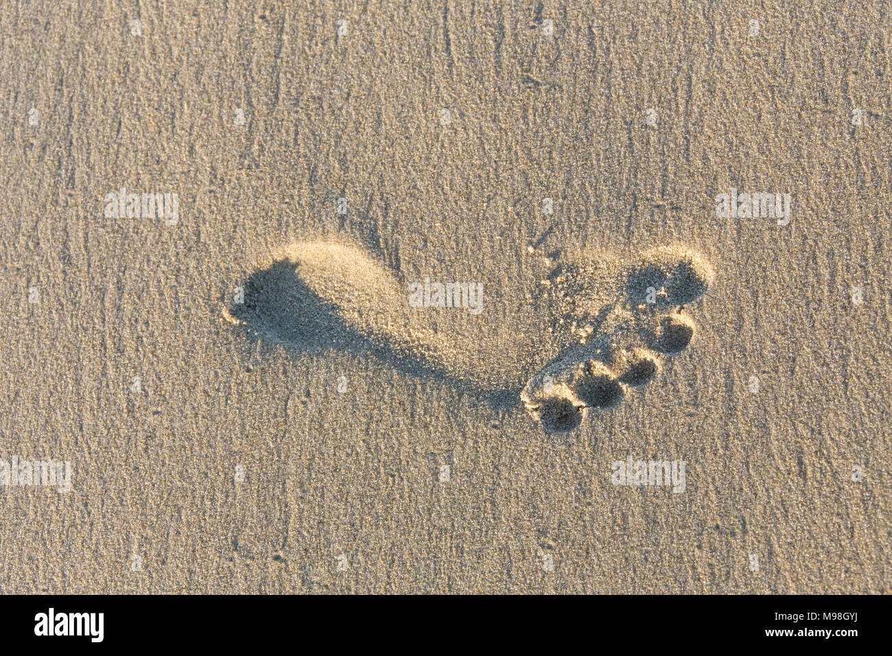 Foot imprint on sand in Vietnam beach Stock Photo - Alamy