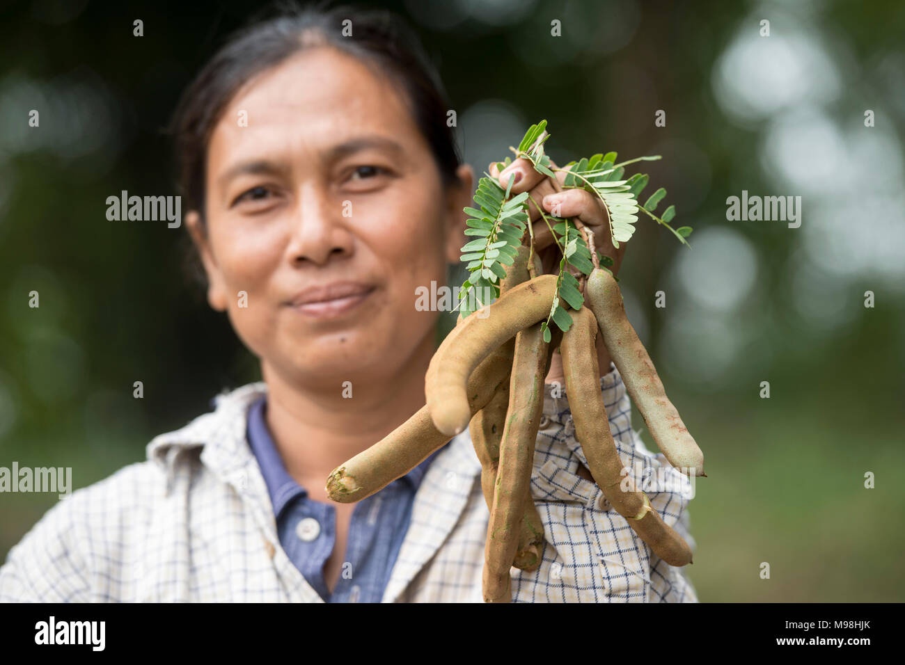 a women at a Tamarind tree at the wat khao Angkhan south of the city of ...
