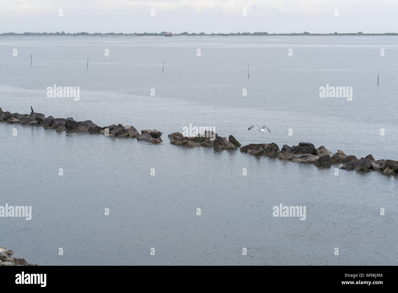 travel on delta del Po river country Stock Photo - Alamy