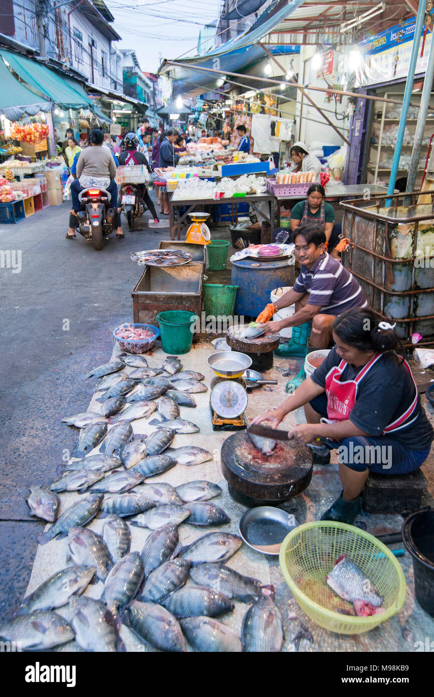 Buri fish hi-res stock photography and images - Alamy