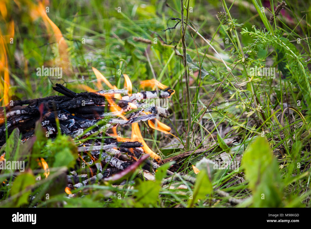 Barbecue smoke pollution environment hi-res stock photography and ...