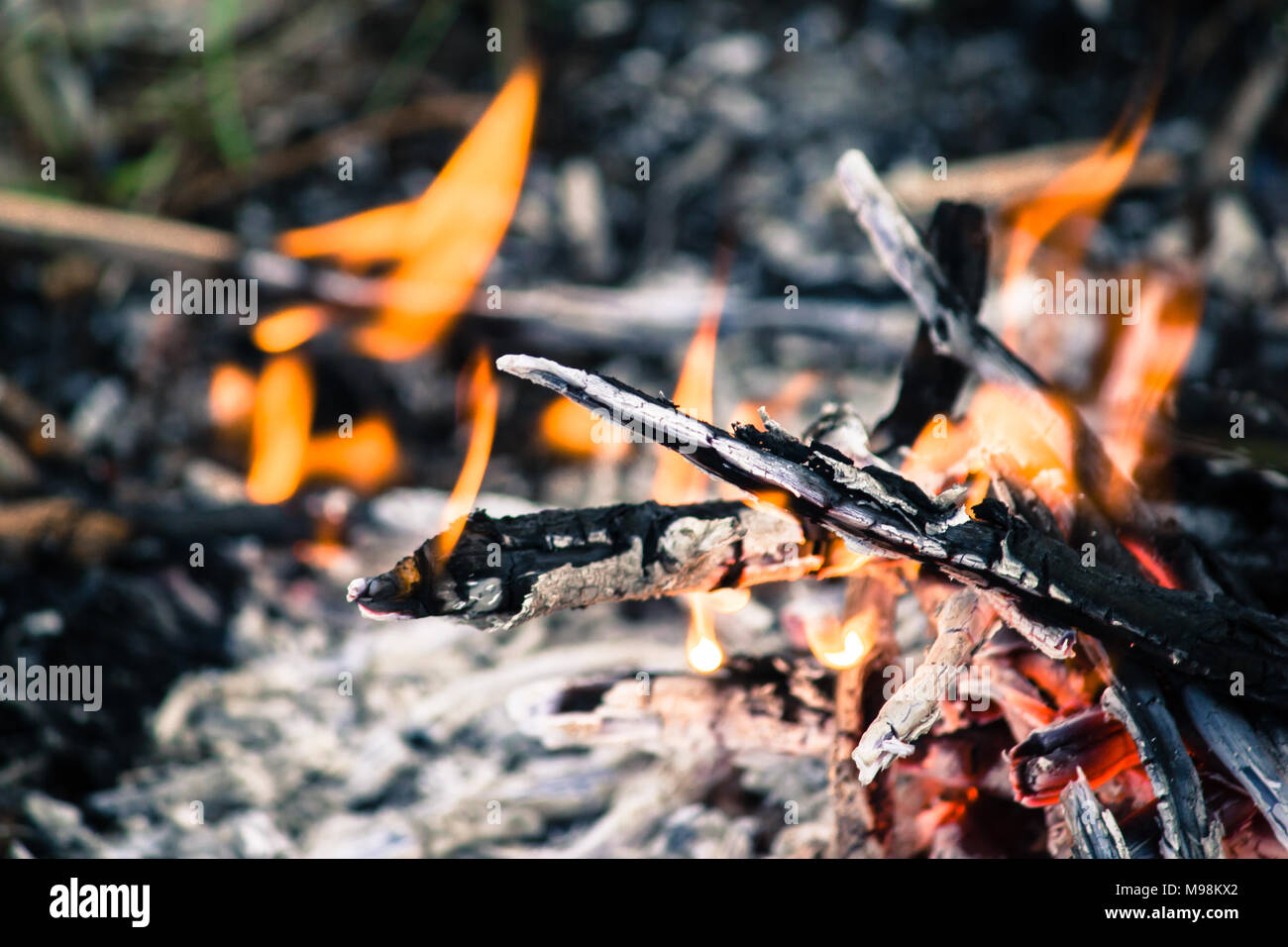 Embers of a burnt-out fire. A fire in the woods, barbecue Stock Photo ...