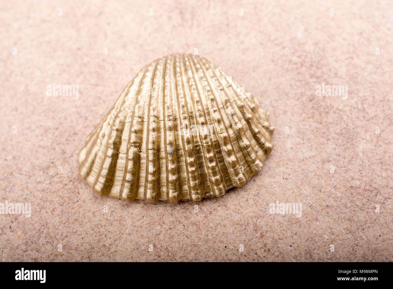 Little gold colored seashell on brown background Stock Photo - Alamy