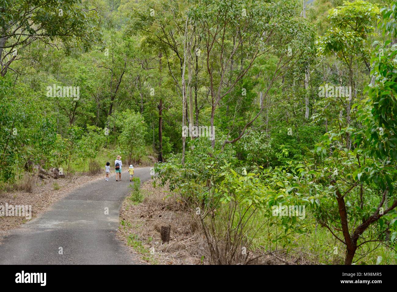 Mother and two children walking through an australian tropical ...