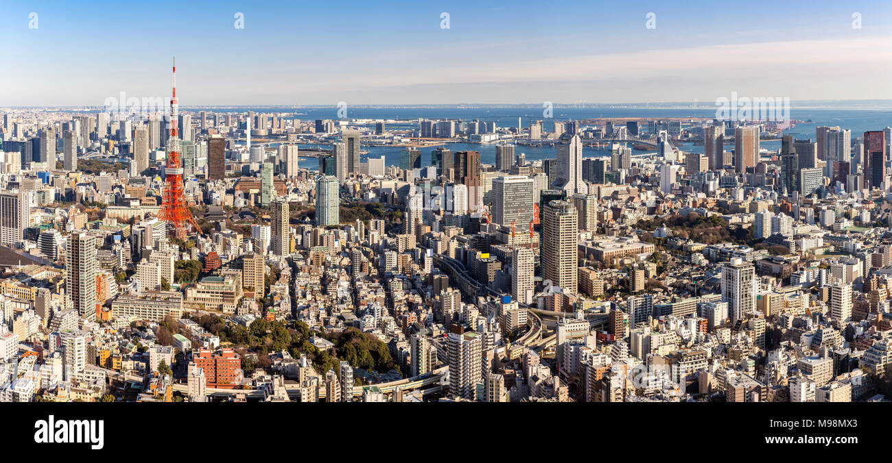 Tokyo Tower with skyline in Tokyo Japan Panorama Stock Photo - Alamy