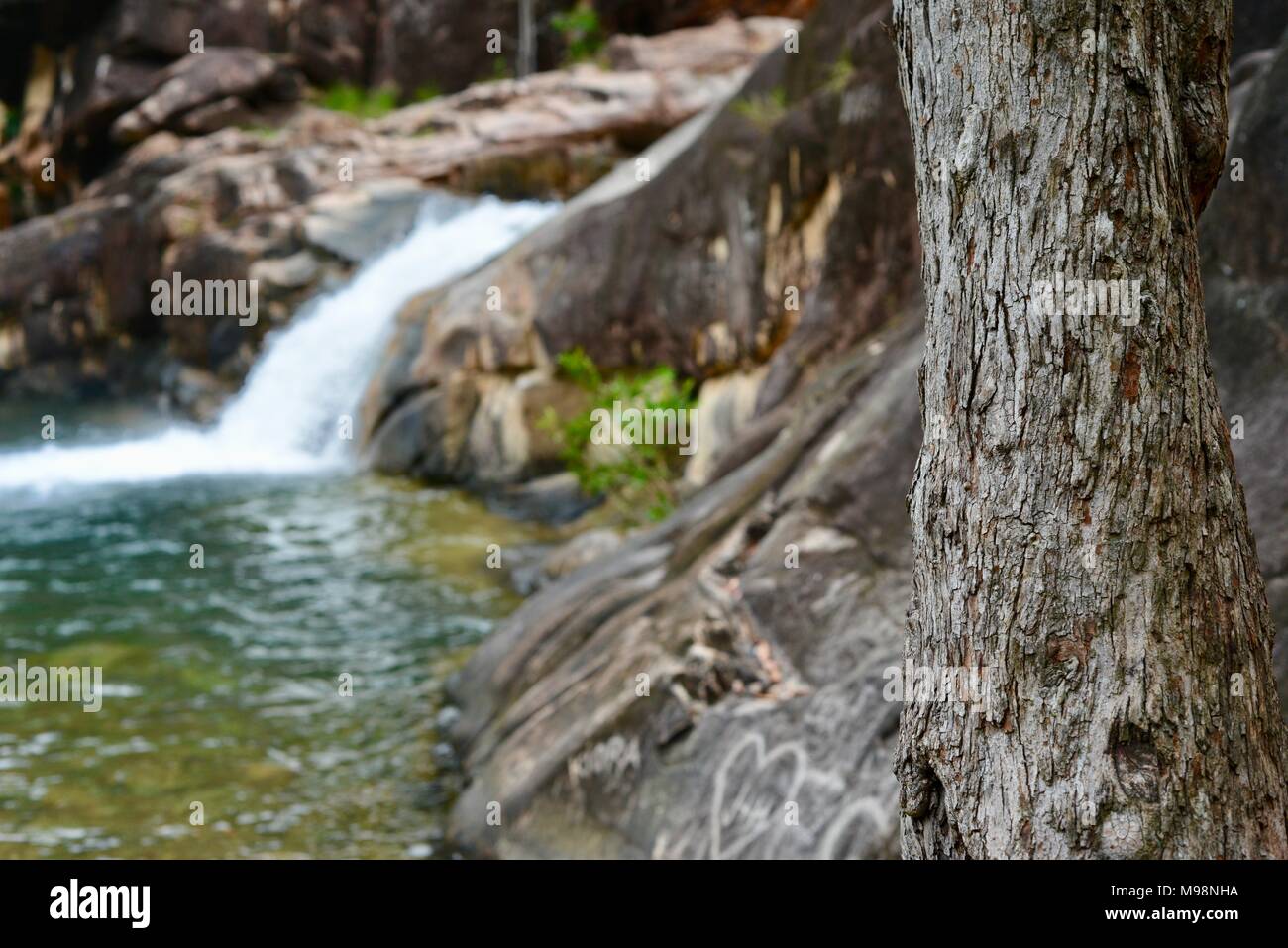 Crystal cascades queensland hi-res stock photography and images - Alamy