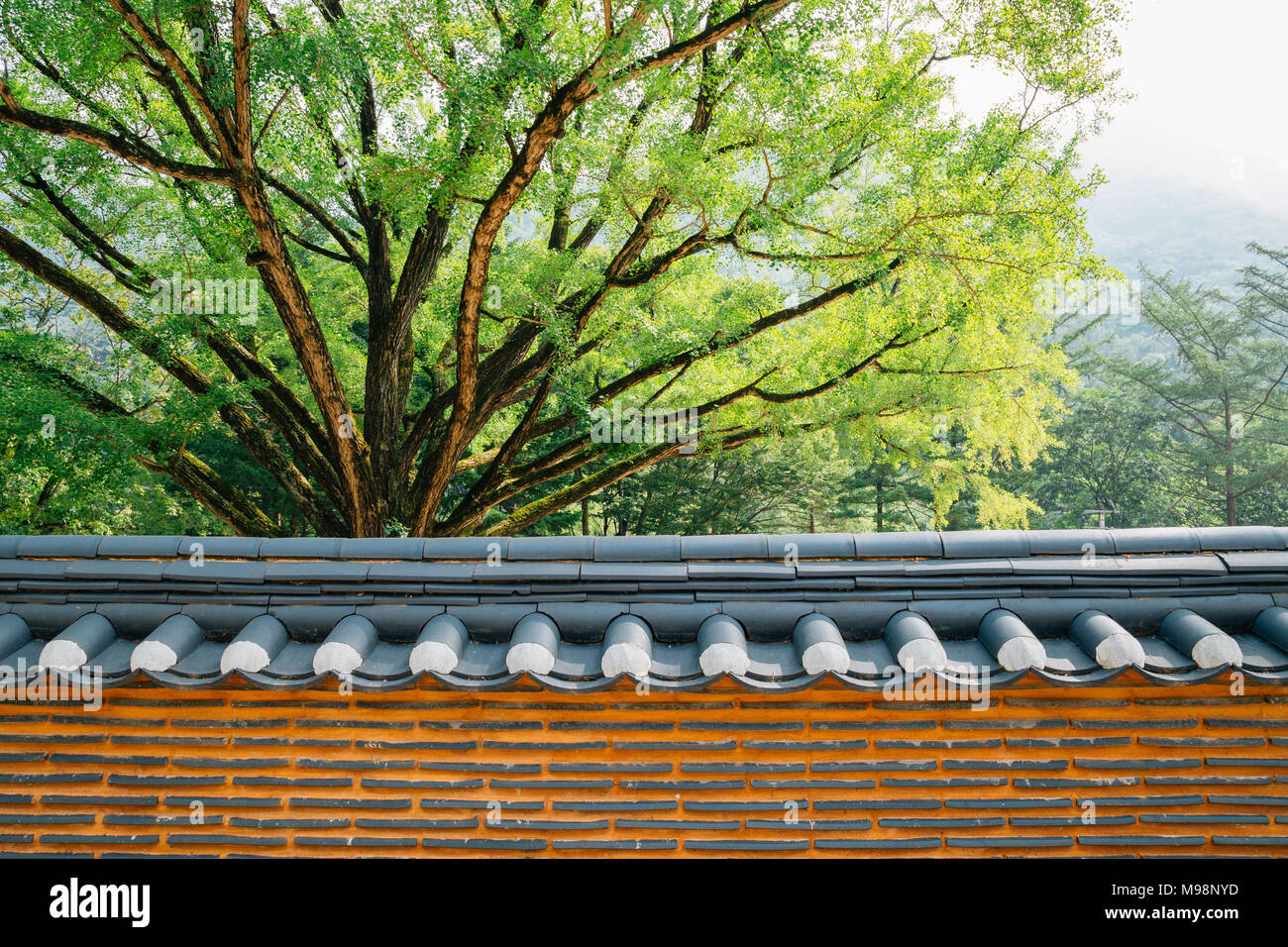 Korean traditional pattern hi-res stock photography and images - Alamy
