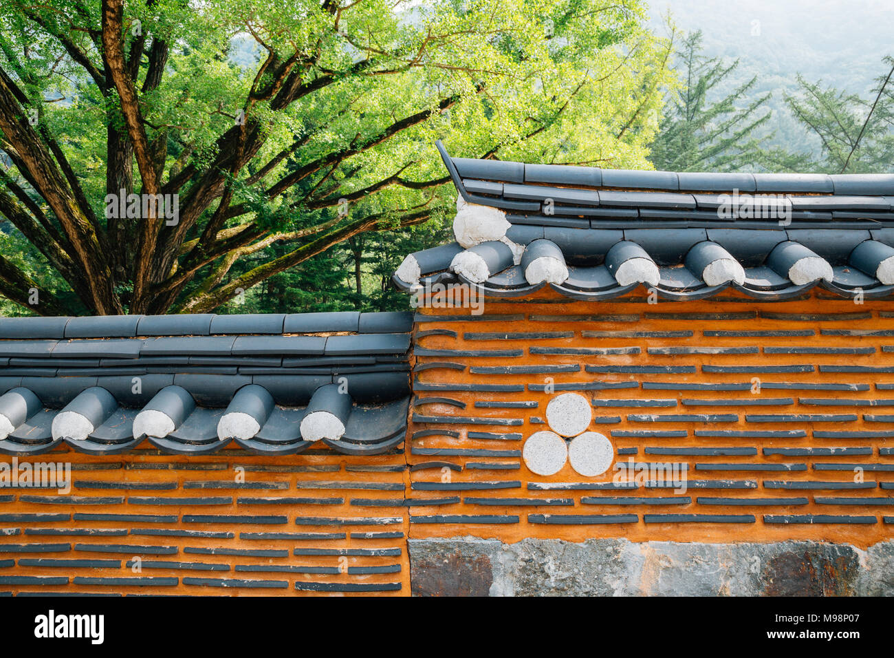 Korean traditional pattern wall and green tree Stock Photo - Alamy