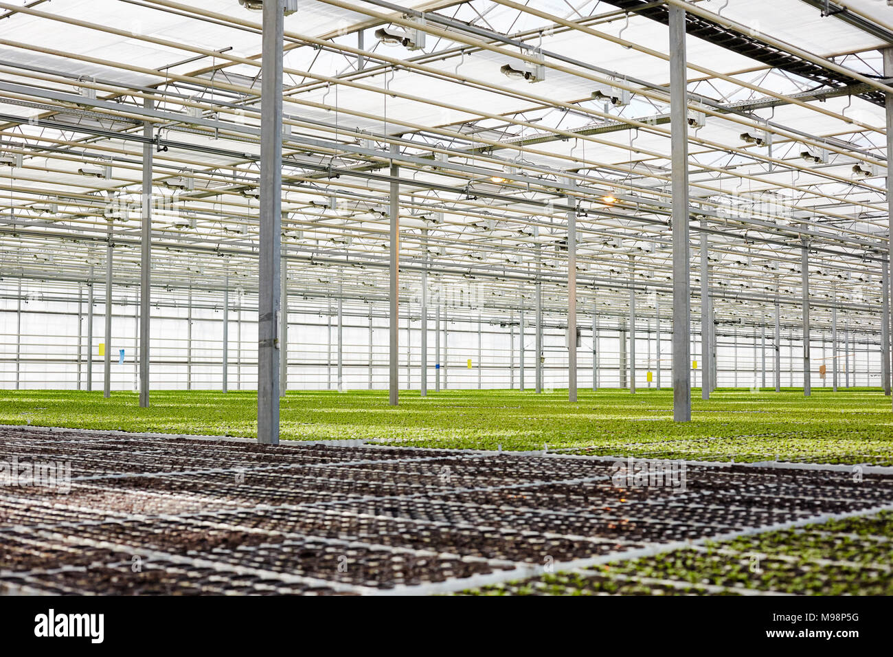 Hothouse interior hi-res stock photography and images - Alamy