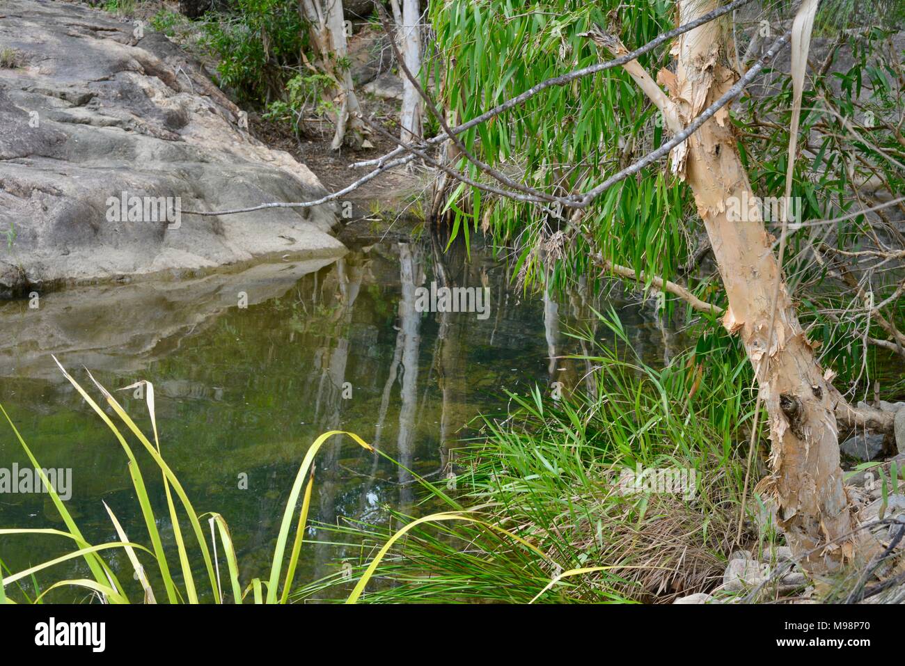 Crystal Creek QLD 4816, Paluma range national park, Australia Stock ...