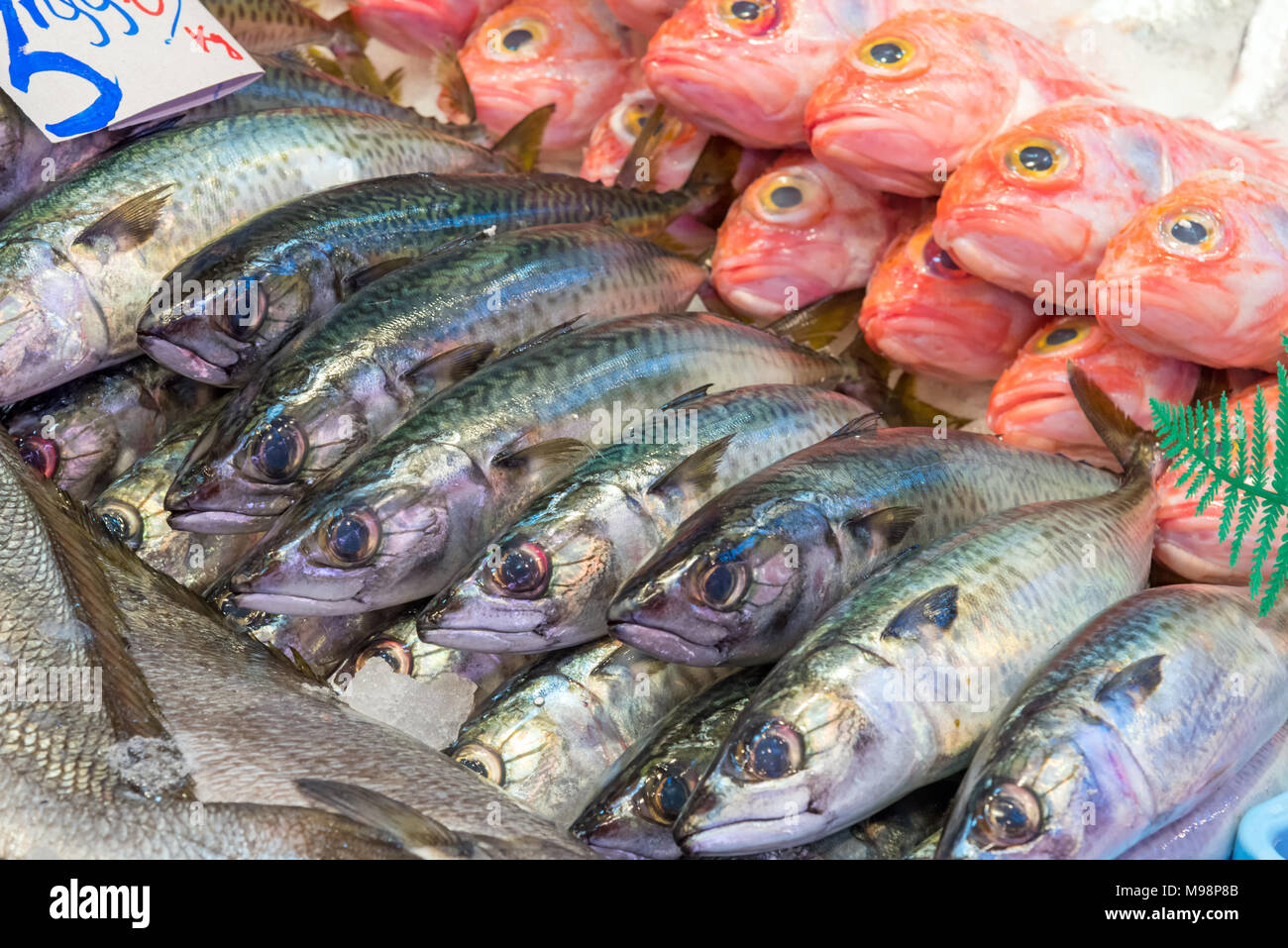 Fresh fish for sale at a market in Madrid, Spain Stock Photo - Alamy