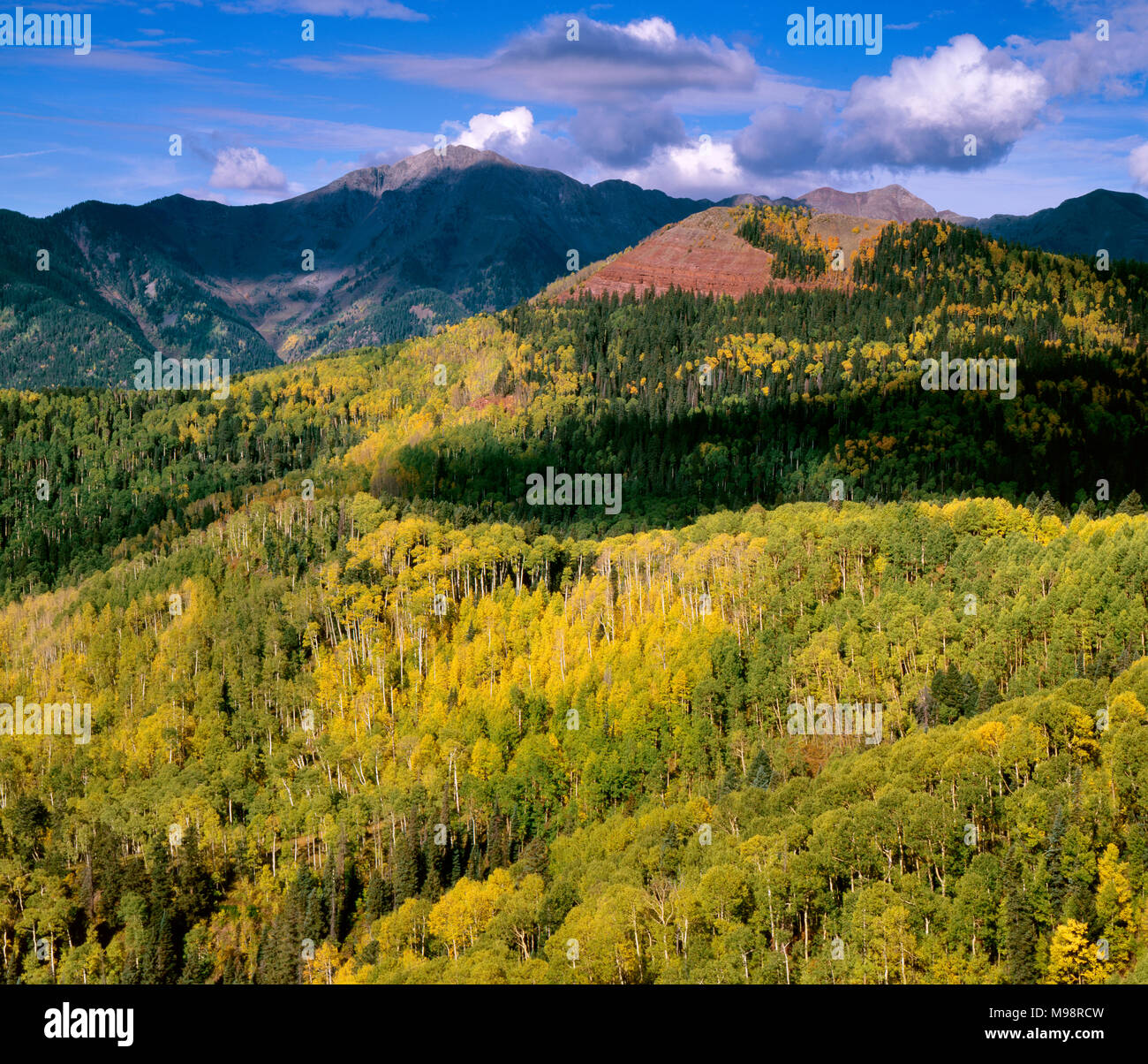 Silver Mountain, San Juan National Forest, Colorado Stock Photo - Alamy