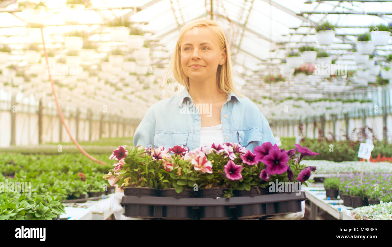 Agricultural engineer hi-res stock photography and images - Alamy