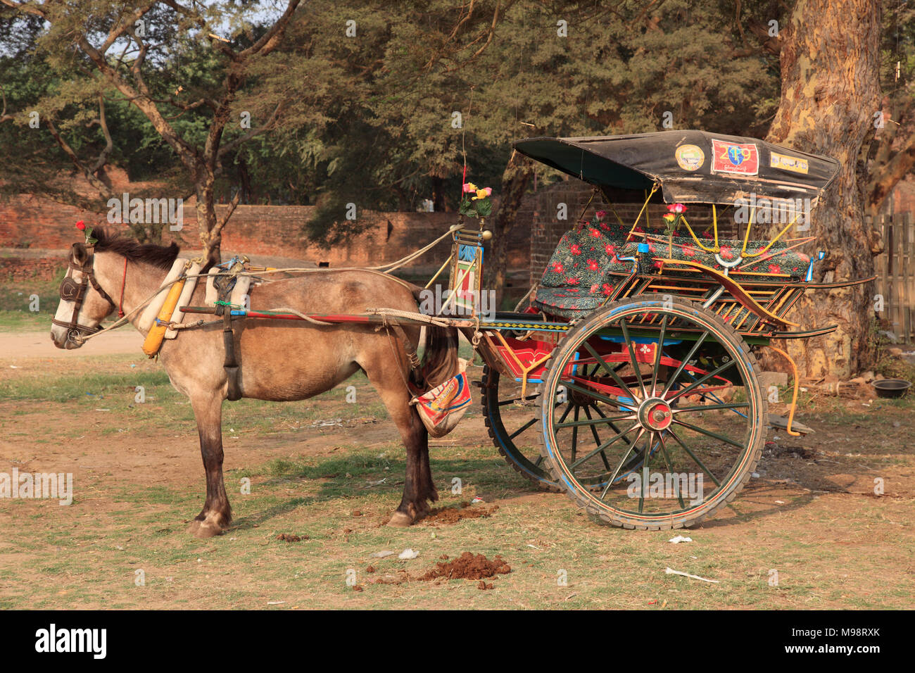 Myanmar, Burma, Bagan, horse cart Stock Photo - Alamy