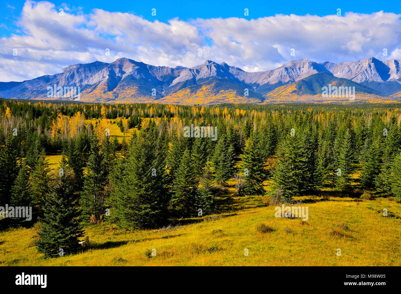 Beautiful Fall Landscape