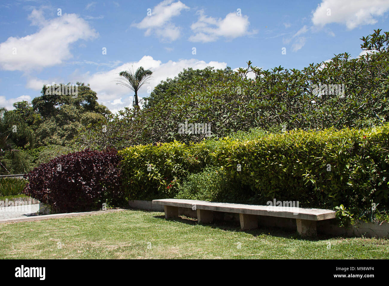 East park, Caracas, Venezuela. Public Park landscape in South America ...