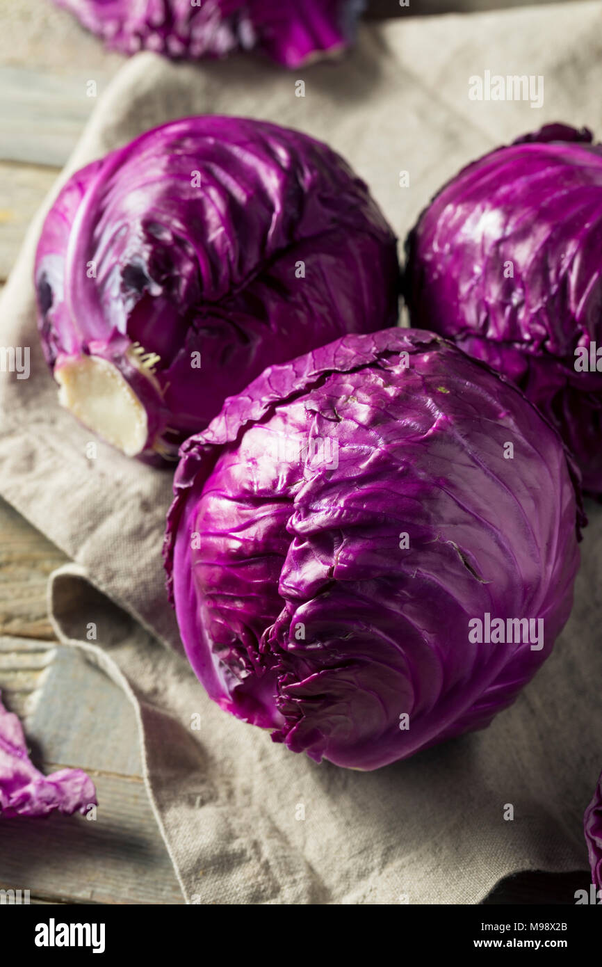 Crunchy red cabbage hi-res stock photography and images - Alamy