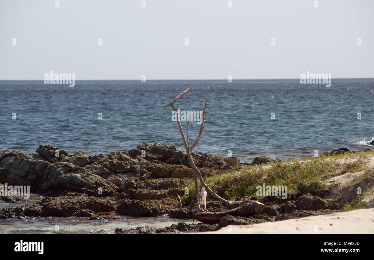 Beautiful Caribbean Islands, Archipiélago Los Testigos, Venezuela Stock ...
