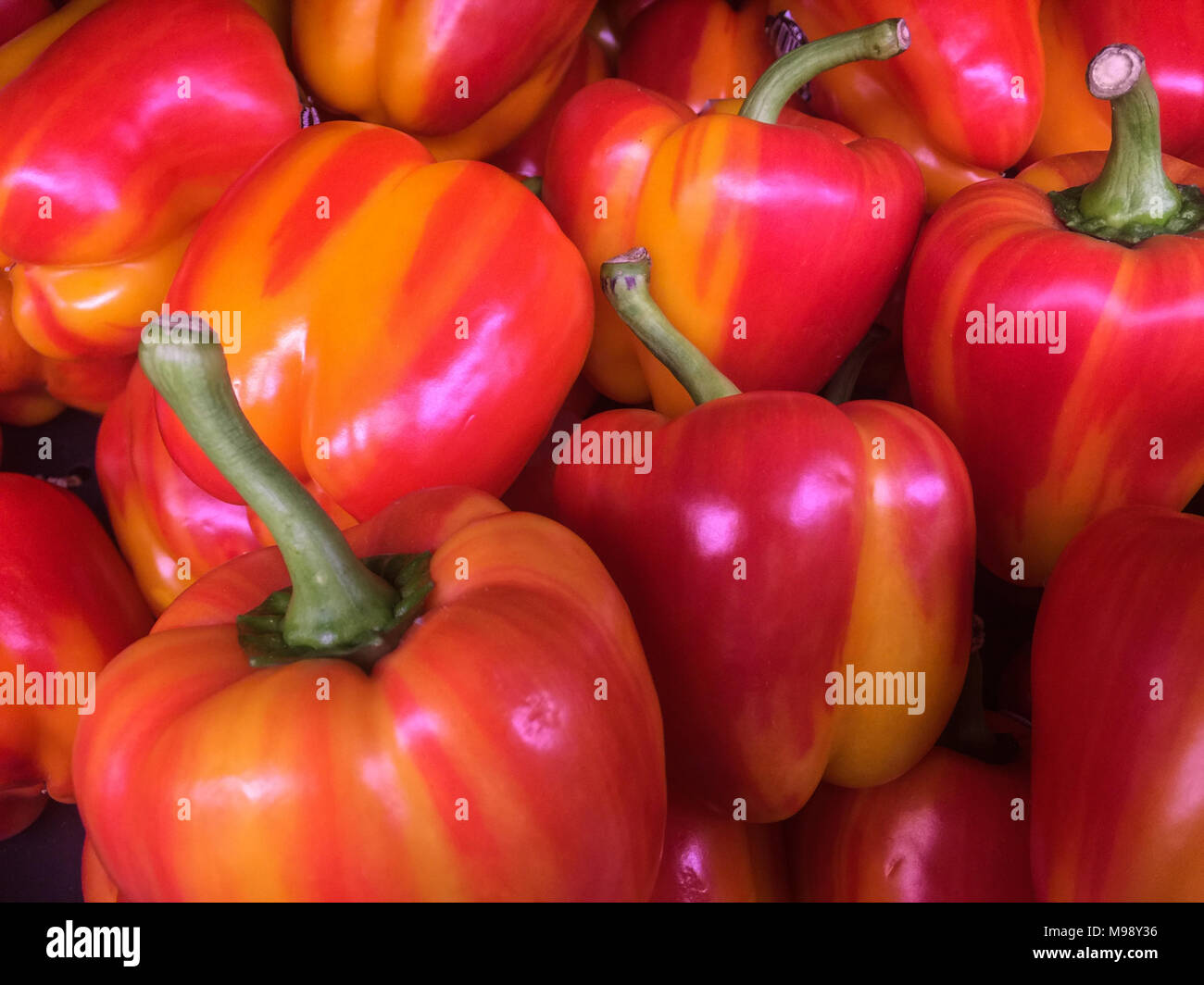 red and yellow striped sweet bell peppers horizontal background Stock ...
