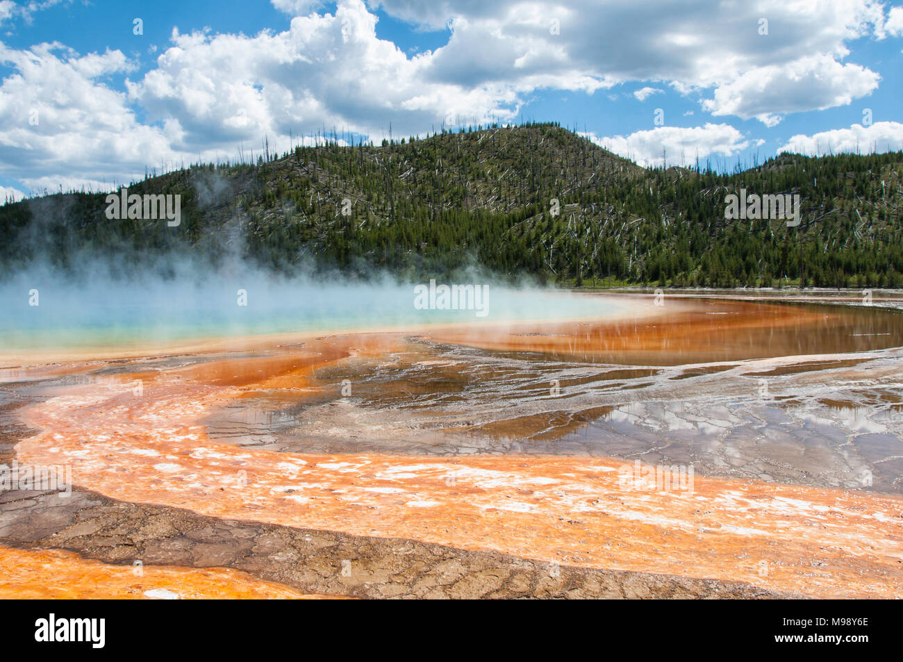 Steaming sulphur pool at Yellowstone National Park with steam rising ...