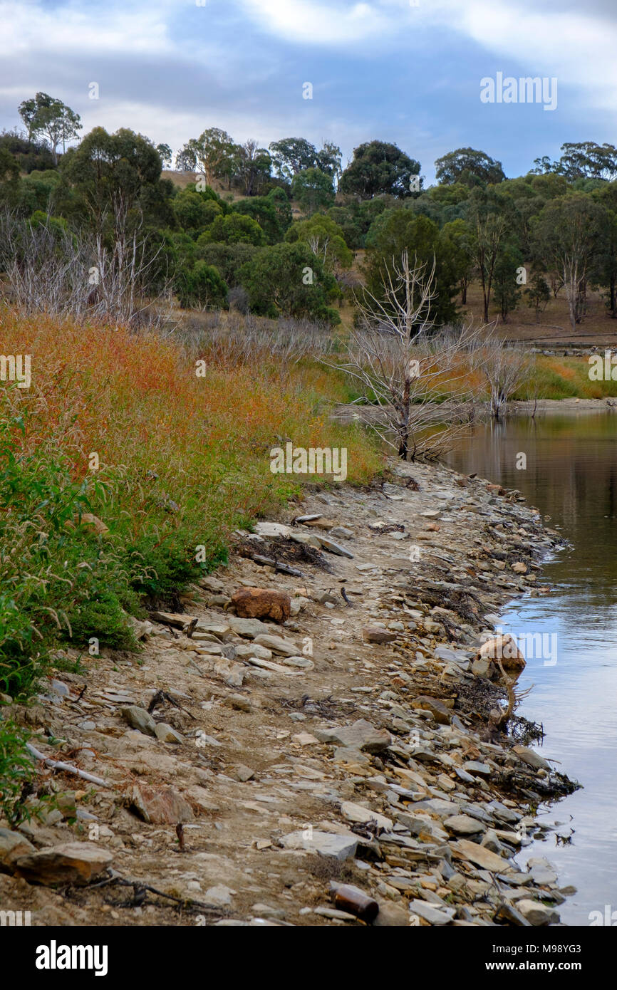 Lake, Trees and Grass at Sunset. Googong Dam, NSW Stock Photo - Alamy
