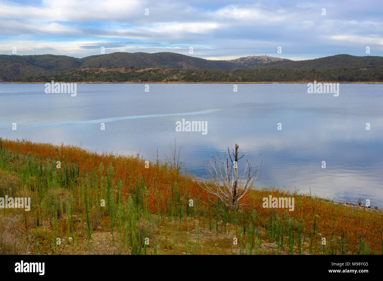 Lake, Trees and Grass at Sunset. Googong Dam, NSW Stock Photo - Alamy