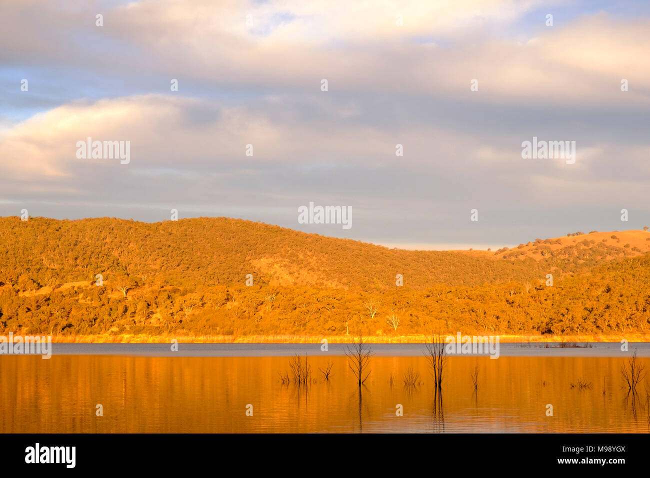 Lake, Trees and Grass at Sunset. Googong Dam, NSW Stock Photo - Alamy