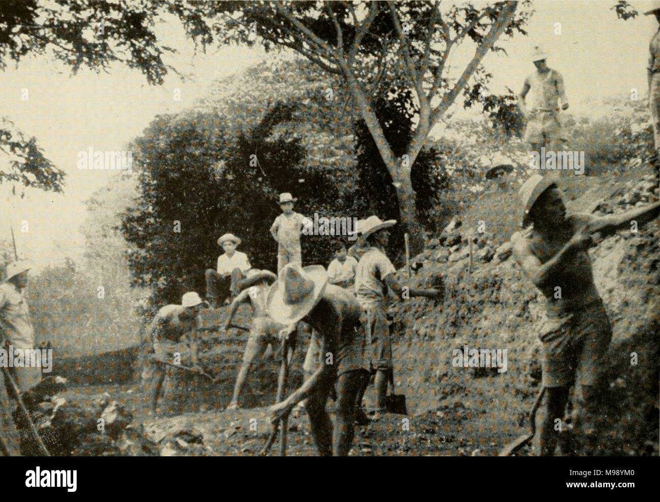 "Smithsonian miscellaneous collections" (1862 Stock Photo - Alamy