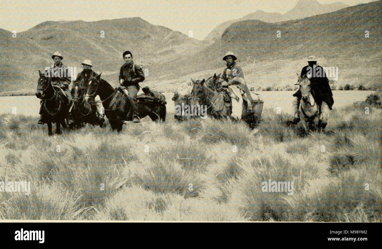 "Smithsonian miscellaneous collections" (1862 Stock Photo - Alamy