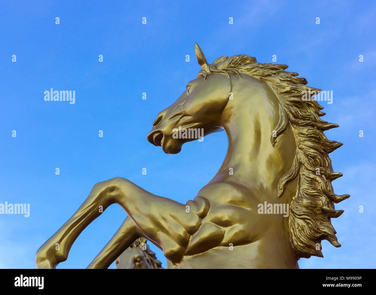 Golden horse head statue hi-res stock photography and images - Alamy