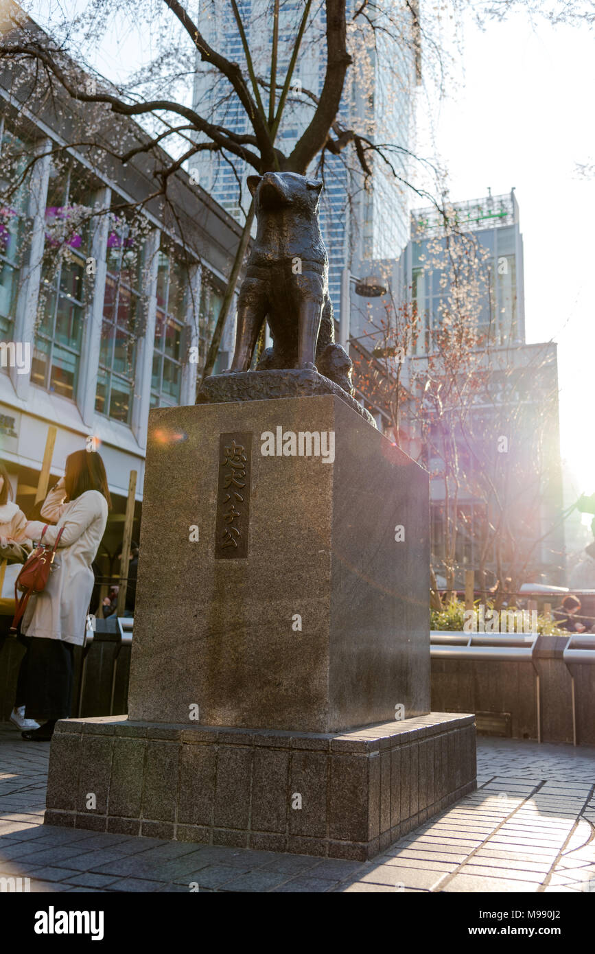 Japan tokyo shibuya hachiko square hi-res stock photography and images ...