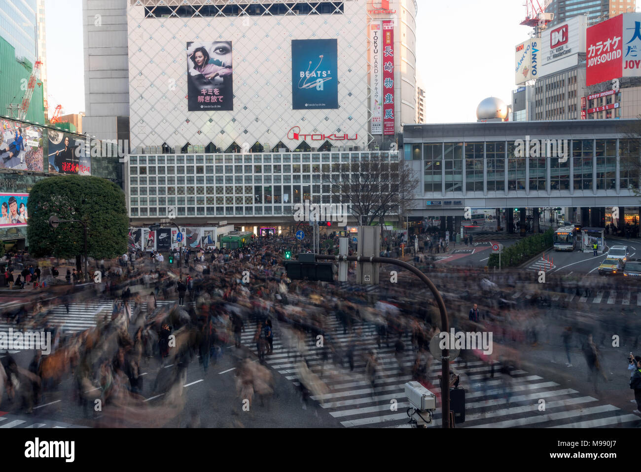 Pedestrians crosswalk at Shibuya district in Tokyo, Japan. Shibuya ...